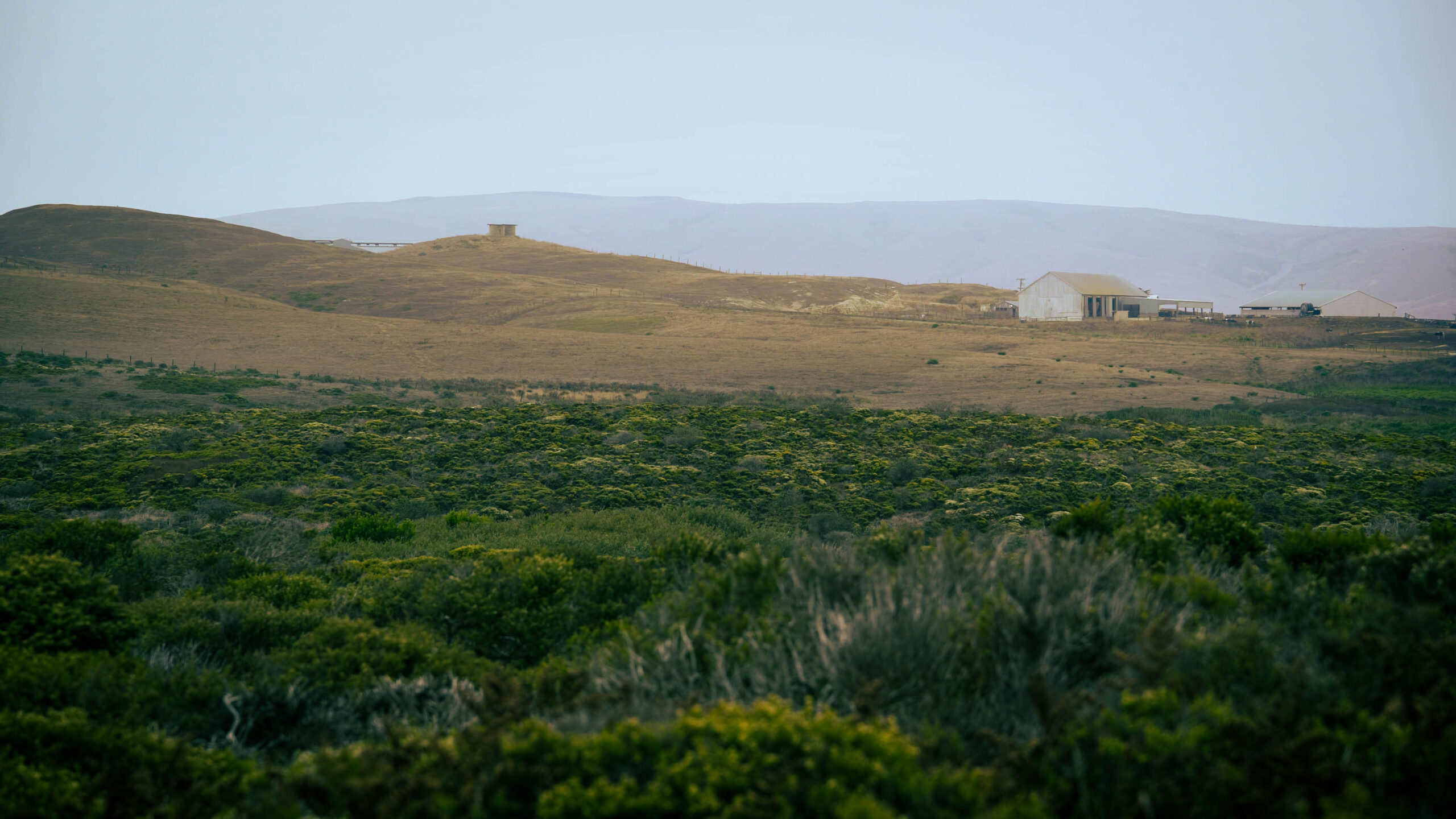 Love This Place Like Us - The Redford Center