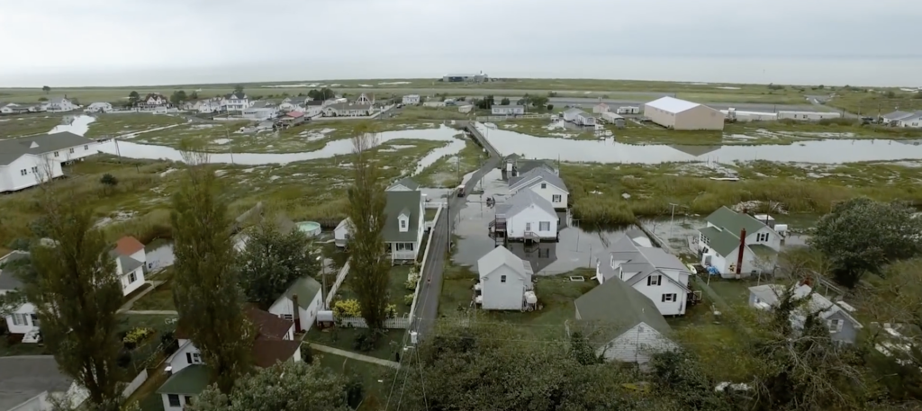 Stayers - The Redford Center