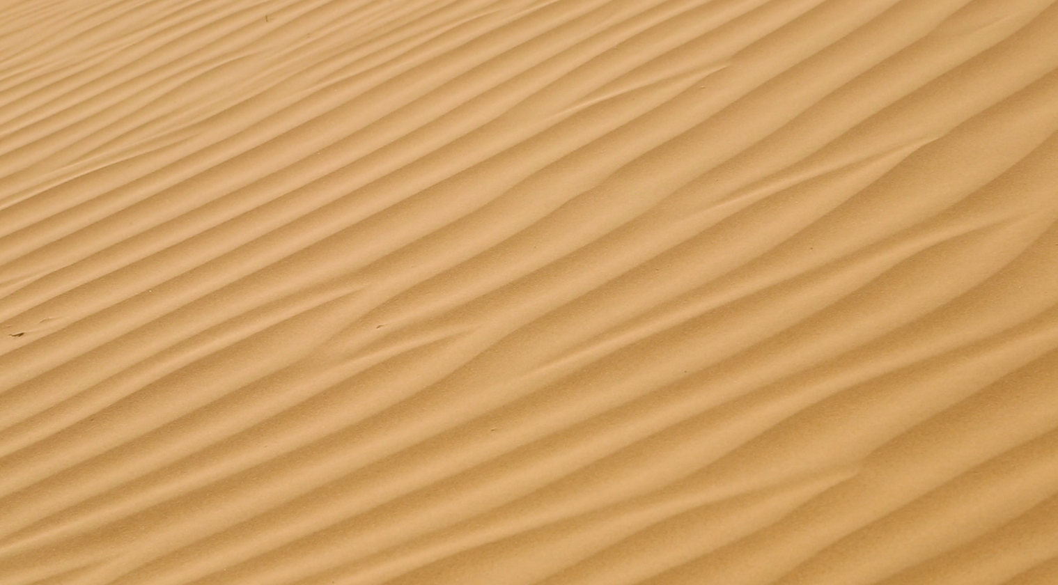 Colour of the Wind - The Redford Center