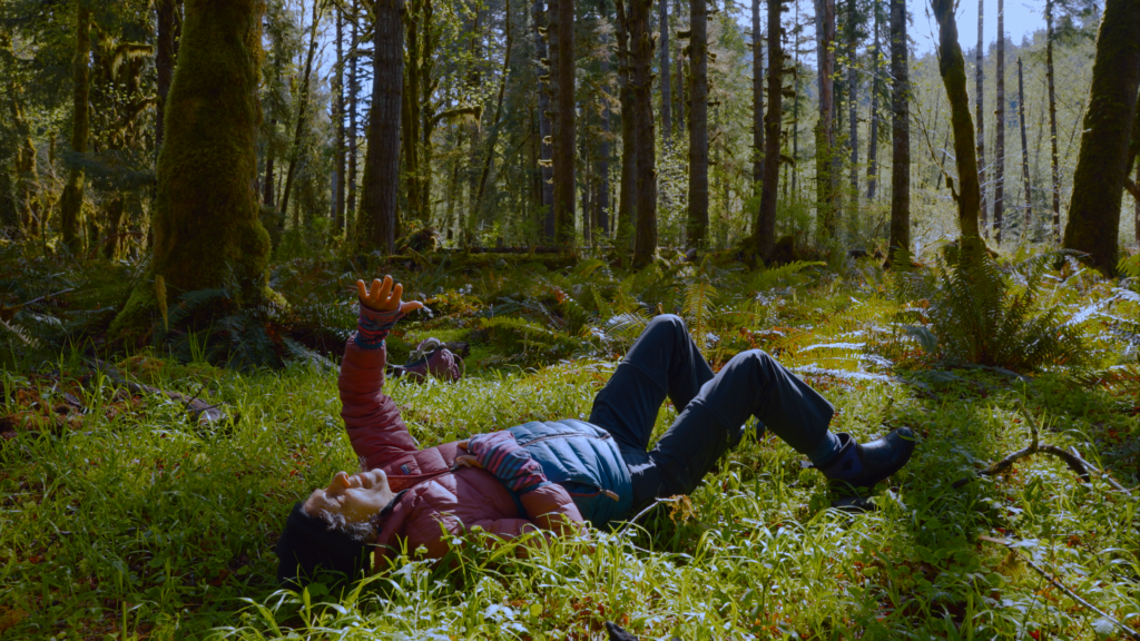 After Dark: What Grows Back at The Exploratorium of San Francisco - The ...